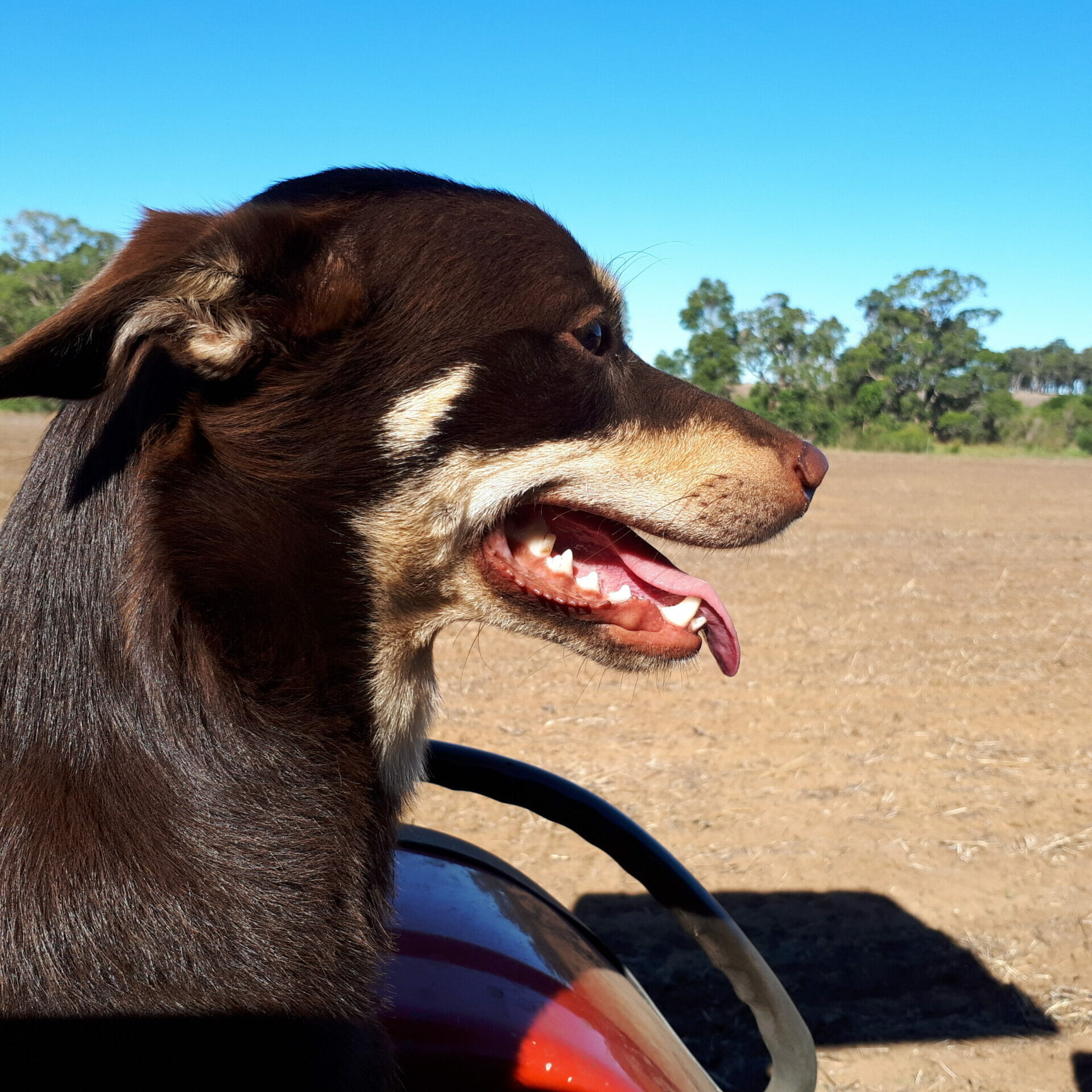 Crafted in Busselton - Origins Market